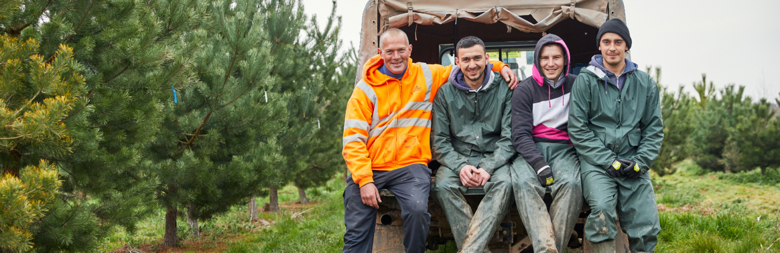 Apprenticeships & Management Trainee Programme - Wyevale Nurseries