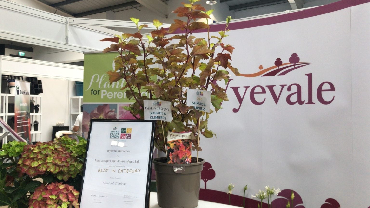 Eight new plants & four awards at HTA Plant Show - Wyevale Nurseries