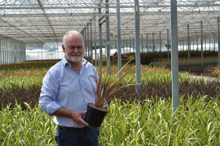 News & Projects - Wyevale Nurseries