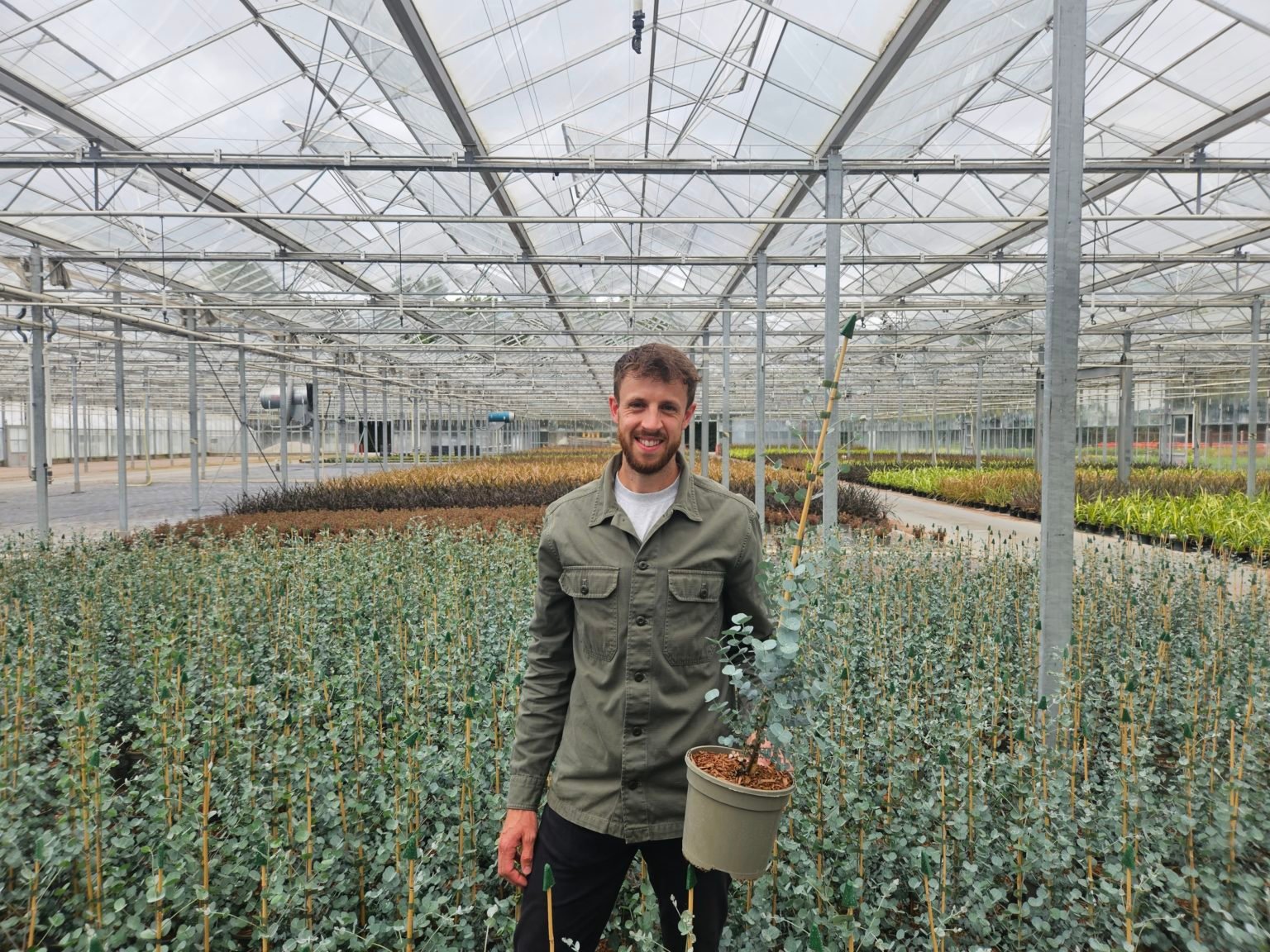 News & Projects - Wyevale Nurseries