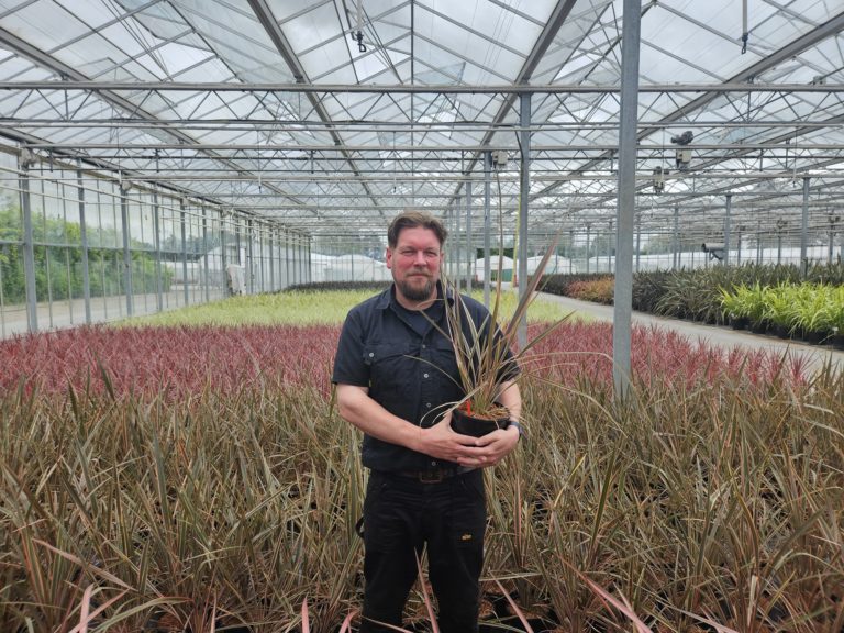 News & Projects - Wyevale Nurseries