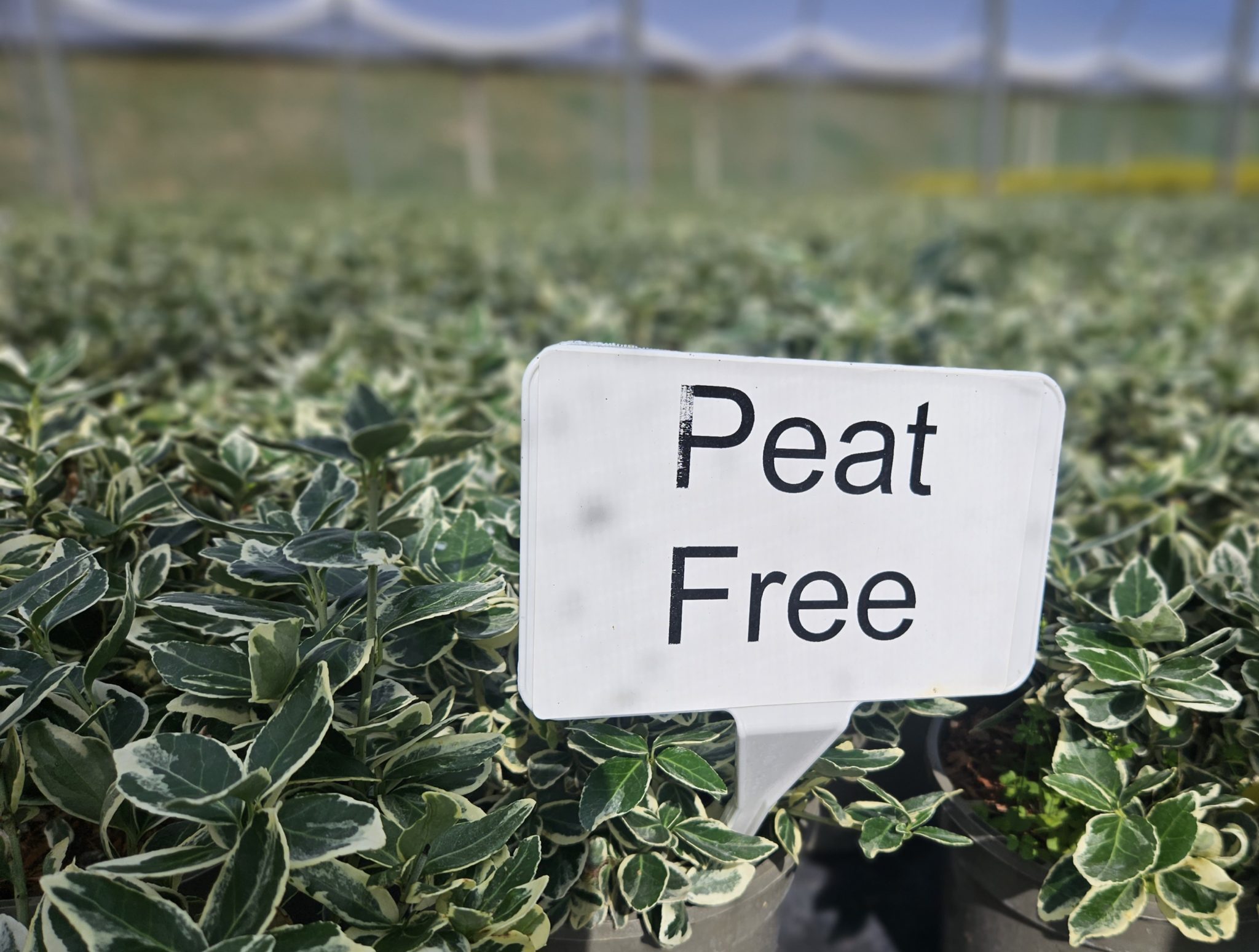 Sustainability - Wyevale Nurseries