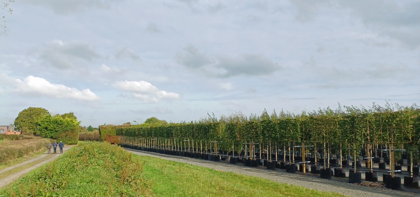 We’re showcasing our British-grown native container tree range at Four ...