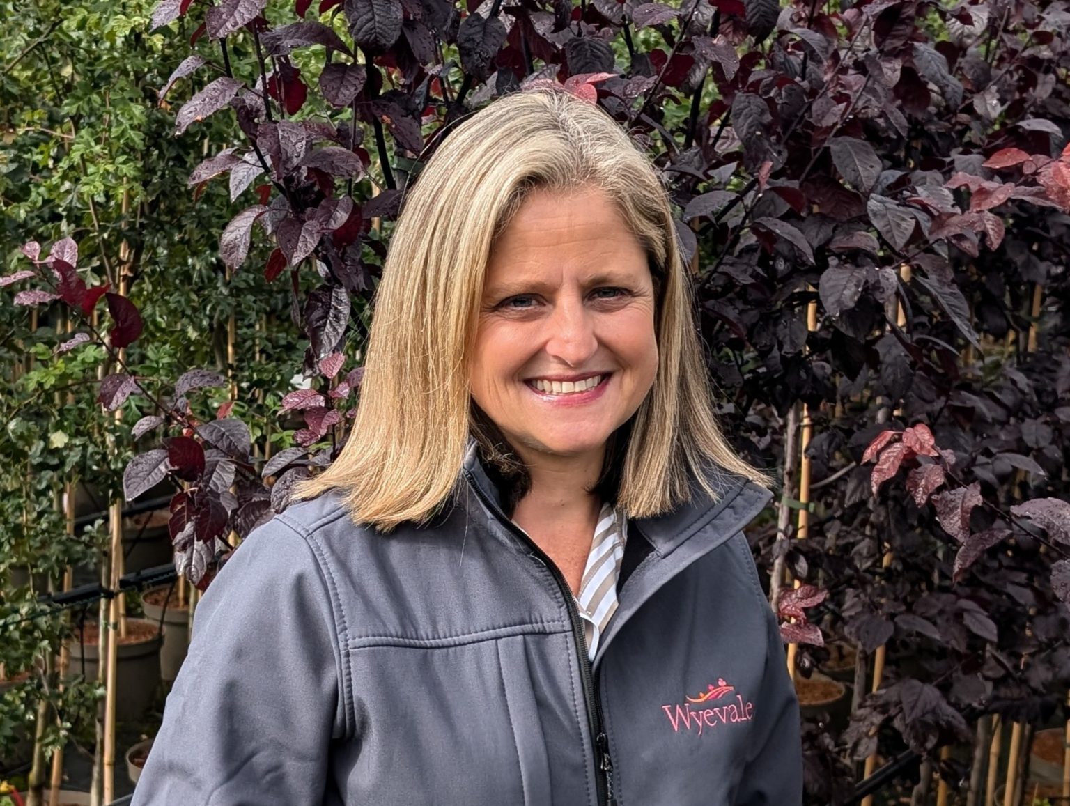 How to plant a bareroot hedge - Wyevale Nurseries